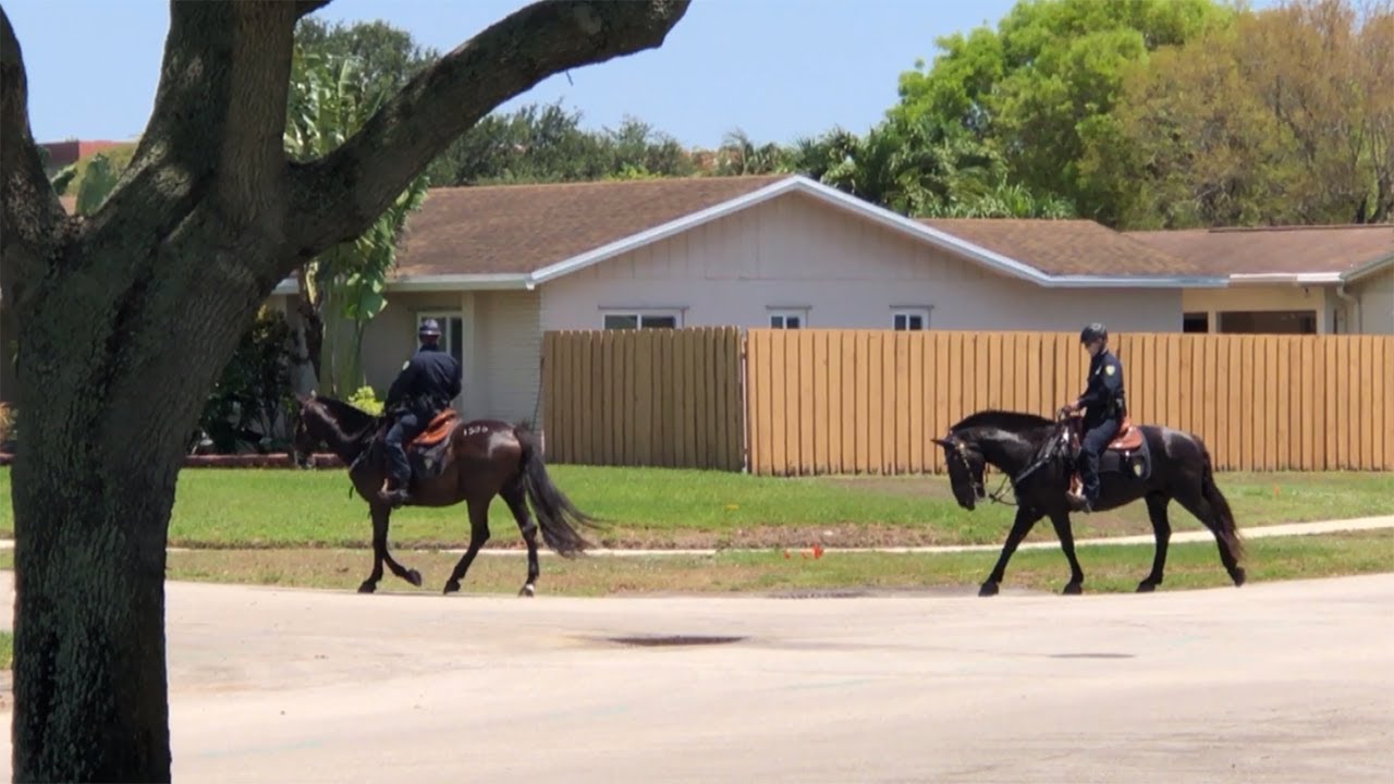 Two Horse Mounted Police Riding in a Neighborhood - YouTube