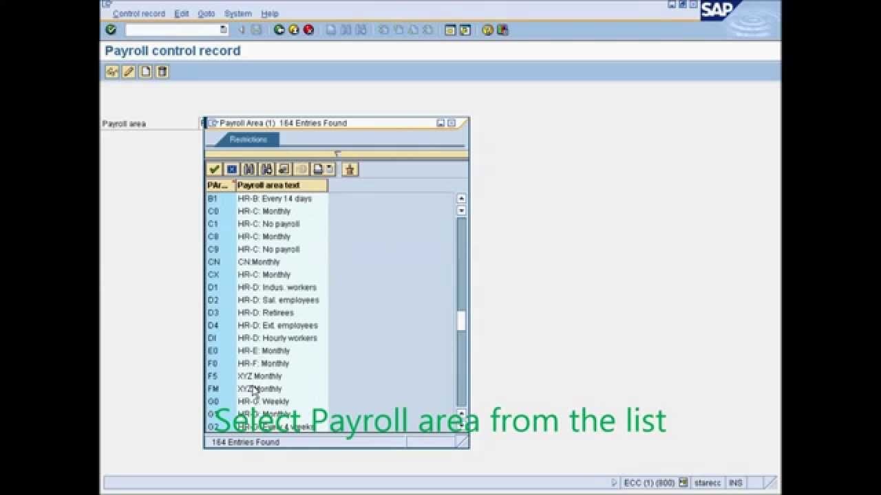 Learn SAP FREE- SAP HR/HCM - Control record - YouTube