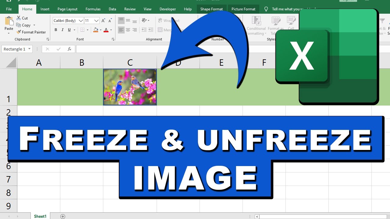 How to freeze and unfreeze a picture in Microsoft Excel - YouTube