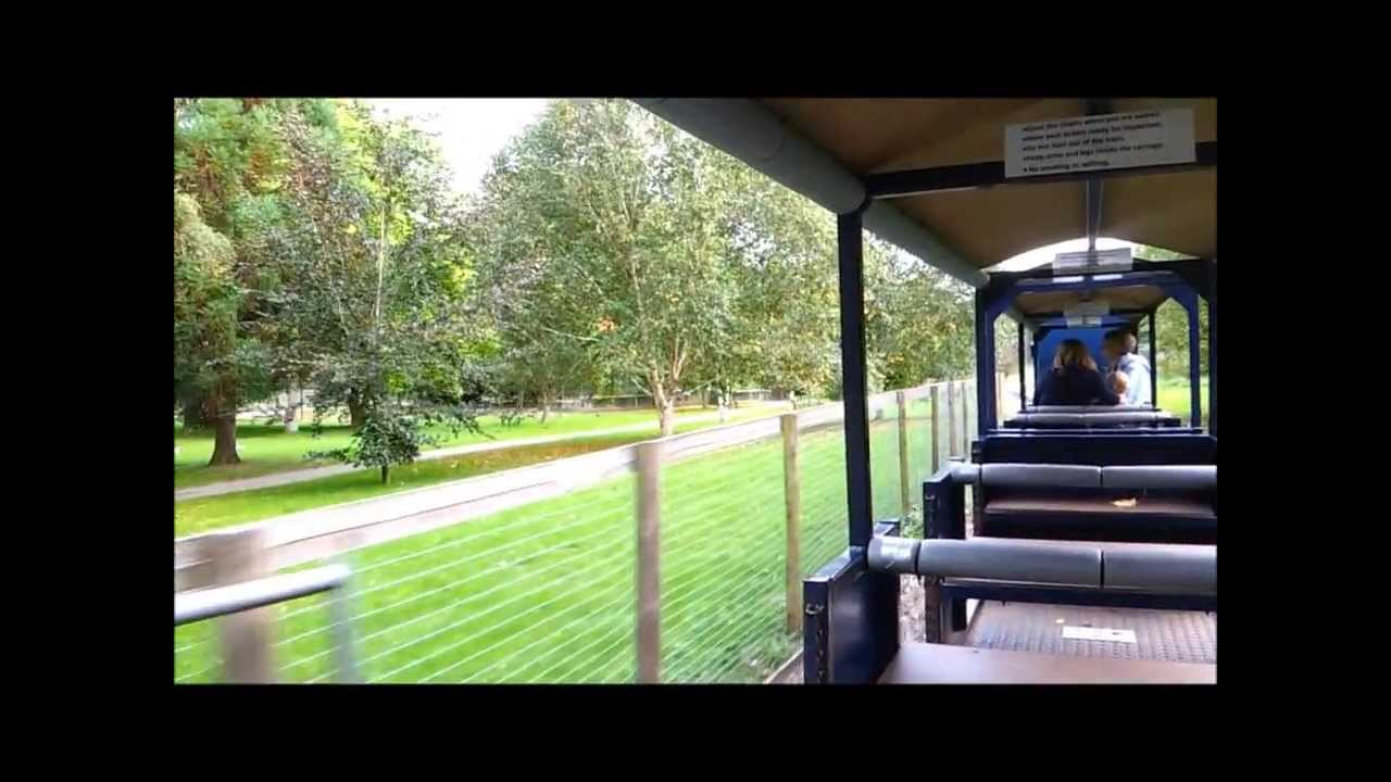 Beale Park - all creatures great and small - YouTube