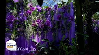 Selby Gardens Named One of TIME Magazine's 100 World’s Greatest Places