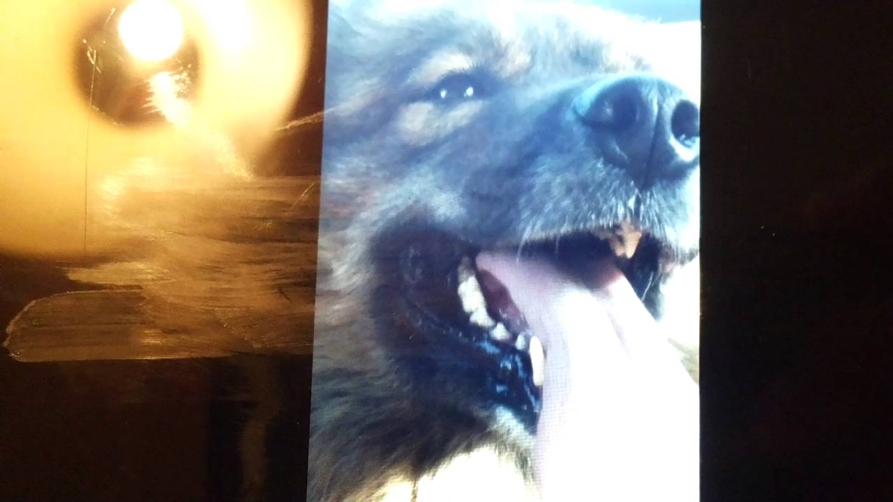 66666666666666666666666666666666 - YouTube