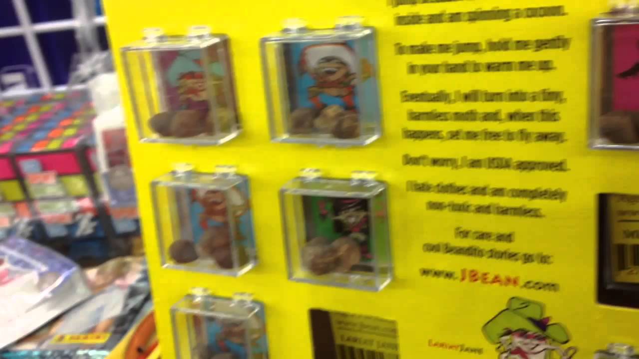 Magic Mexican jumping beans - YouTube