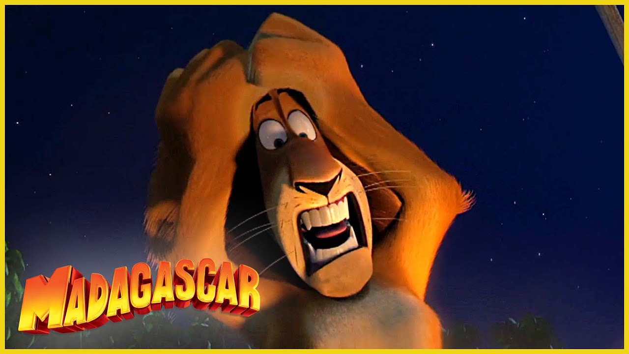 ¿Un incendio en la isla? | DreamWorks Madagascar en Español Latino ...