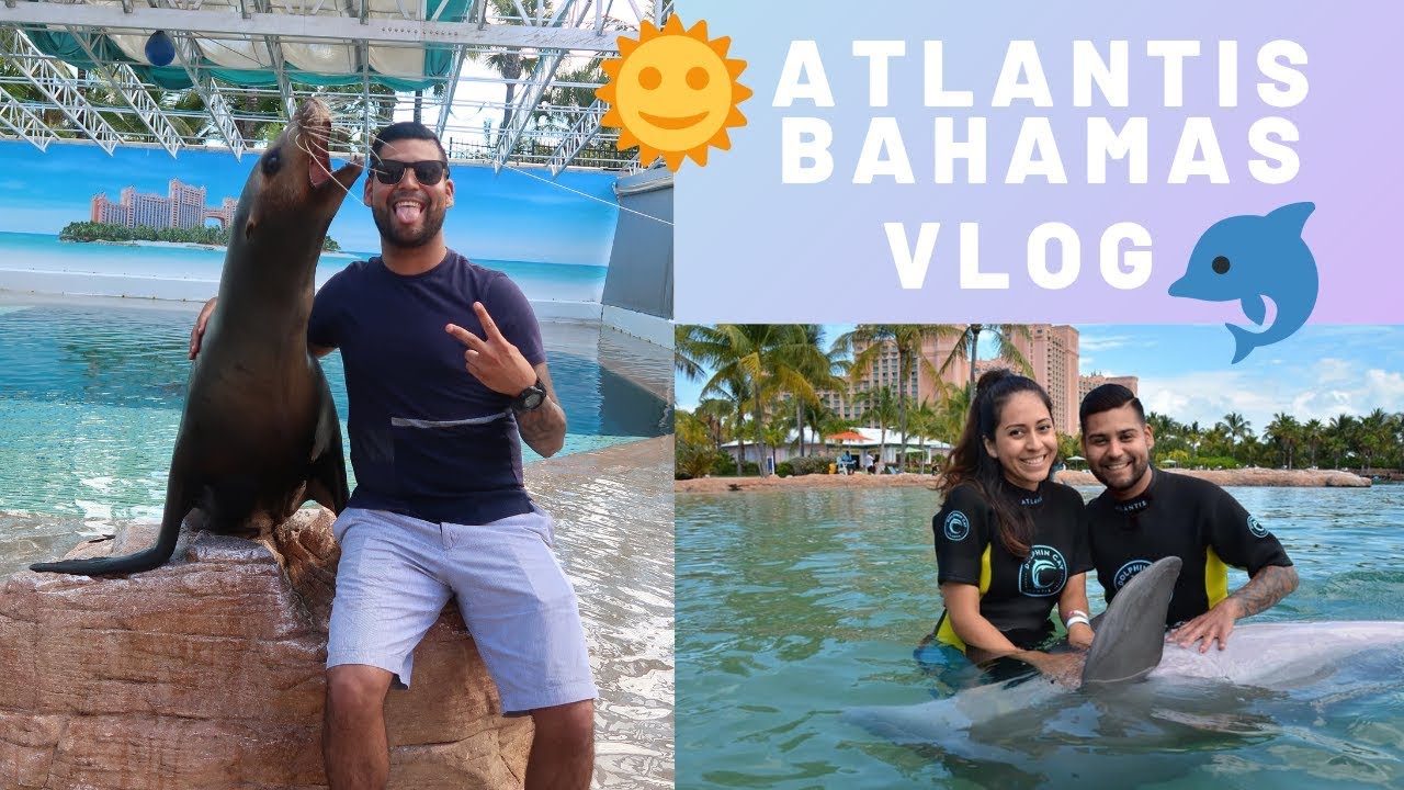 DOLPHIN CAY, ATLANTIS PARADISE BAHAMAS - YouTube