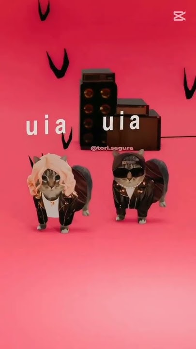 uia uia uia uia uia uia - YouTube