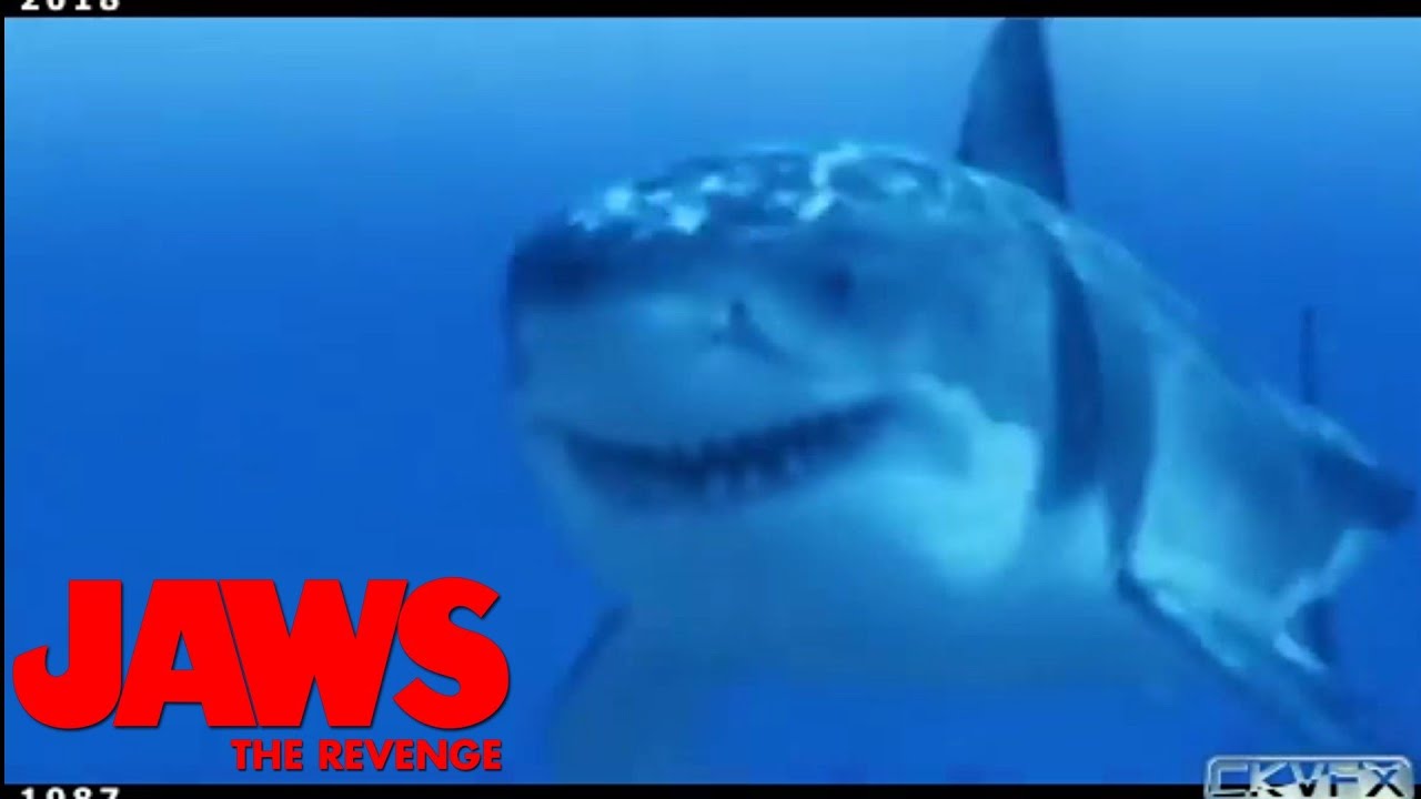 Jaws The Revenge - Shark Chase Sequence VFX Redone by CKVFX - YouTube