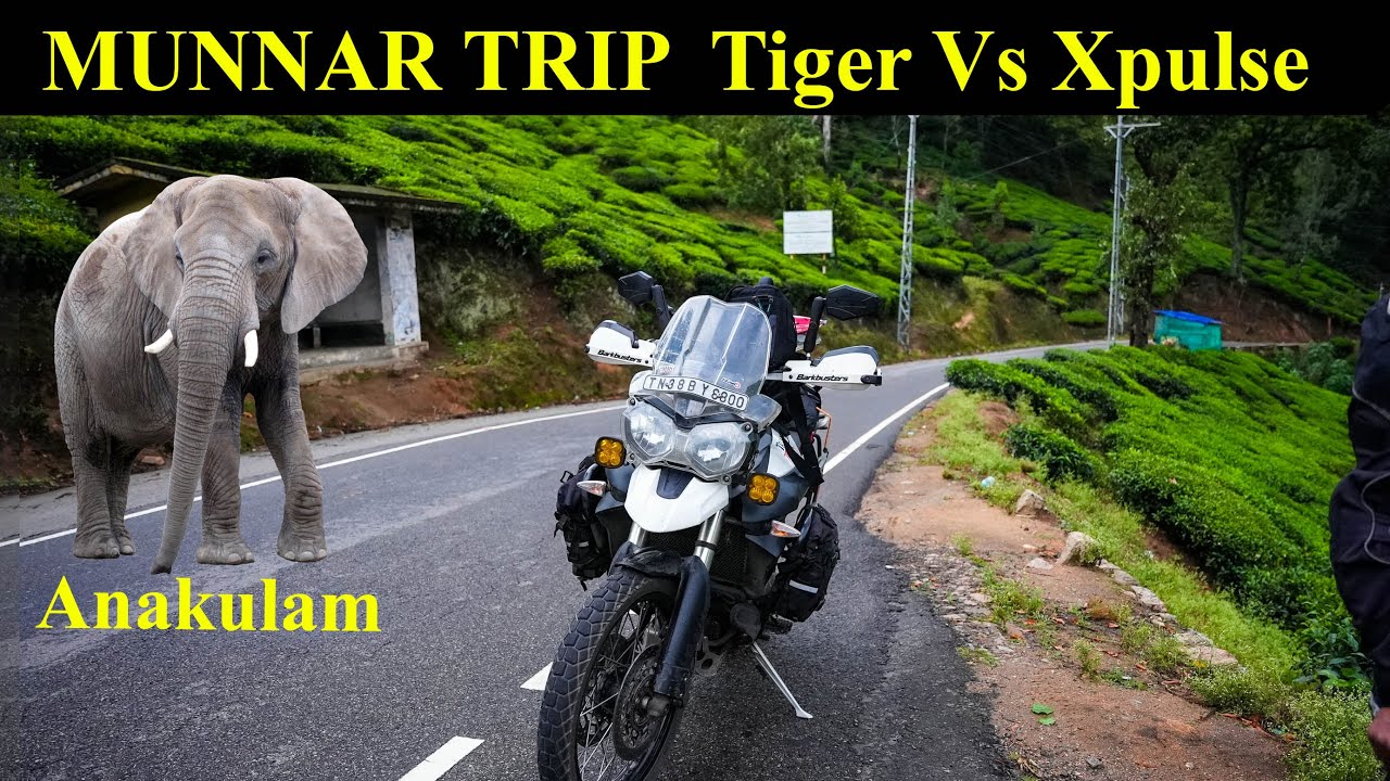 "Incredible Munnar Trip: Riding the Triumph Tiger 800!" With XPulse200 ...