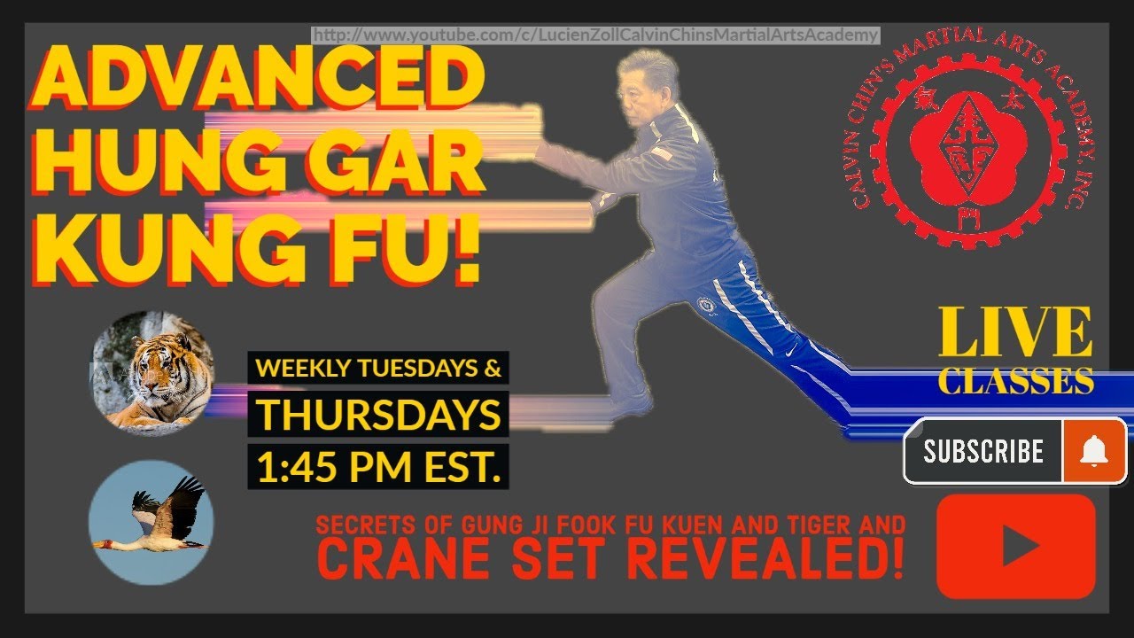 Intermediate/Advanced Hung Gar Kung Fu Pillar Forms 1&2 Class Live ...