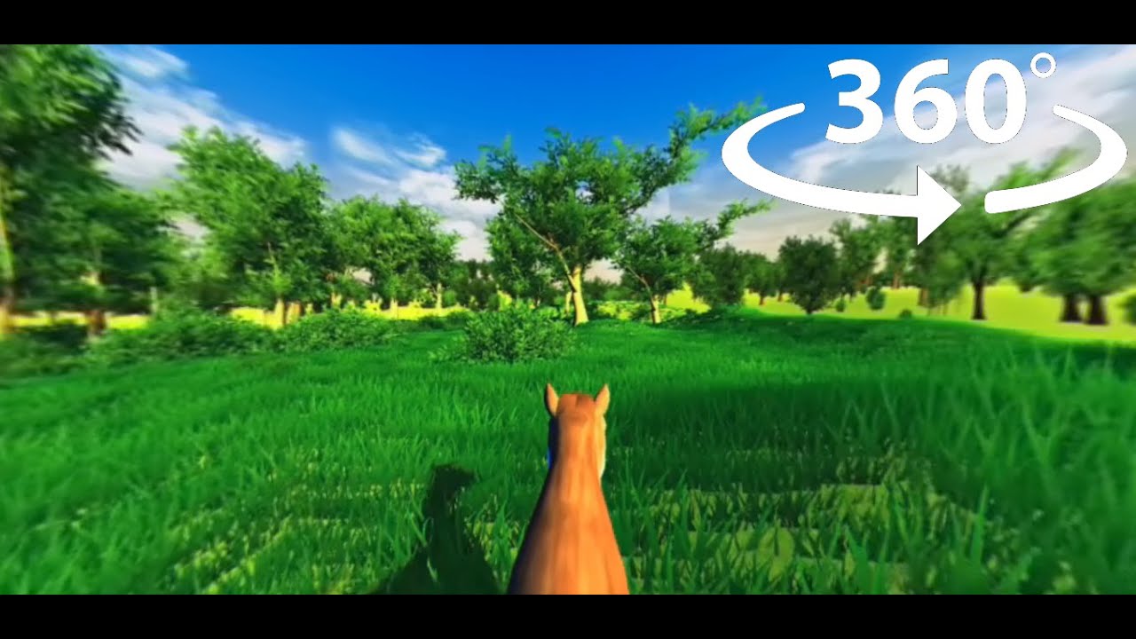 360° VR Horse Ride #360 video Horseback riding the easy way - YouTube