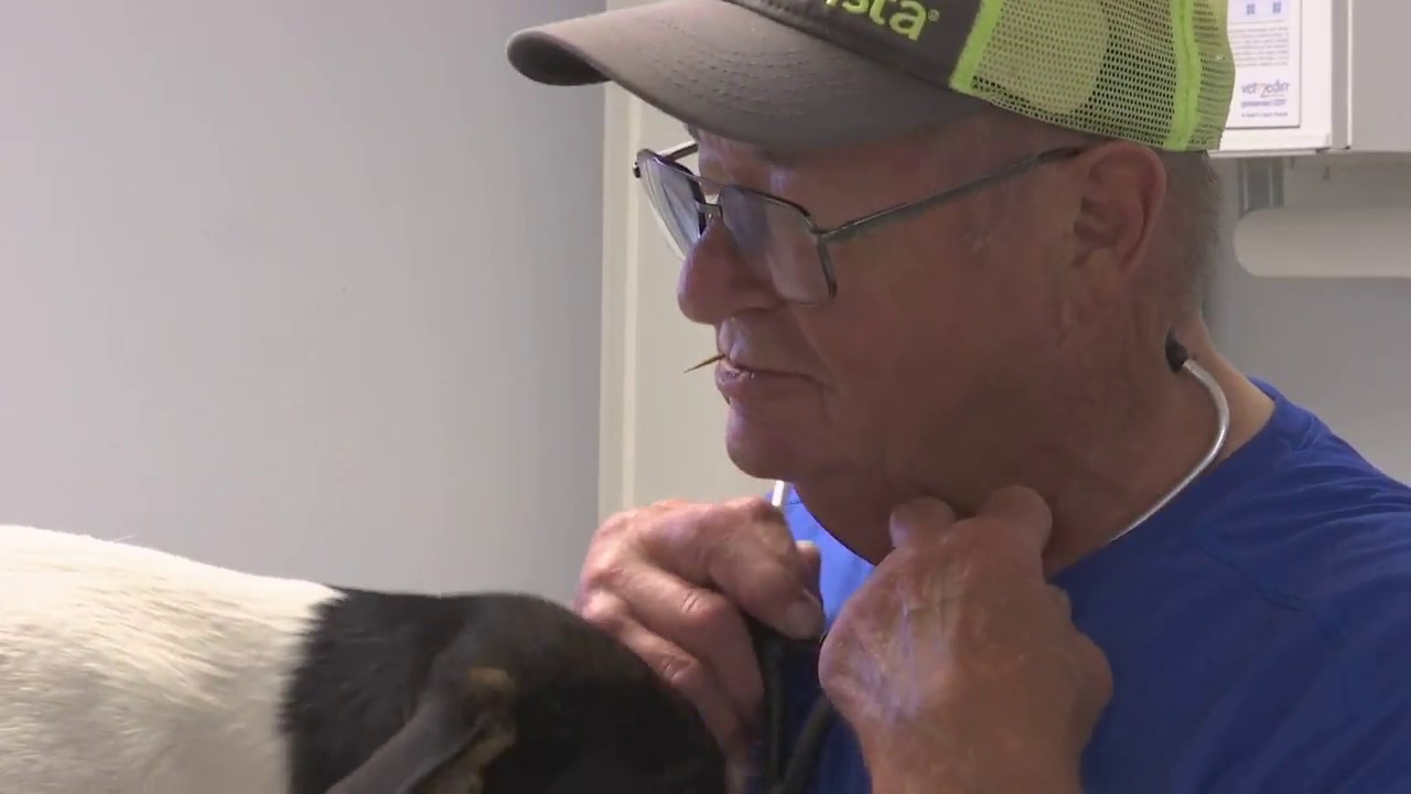 81-year-old veterinarian still working every day - YouTube