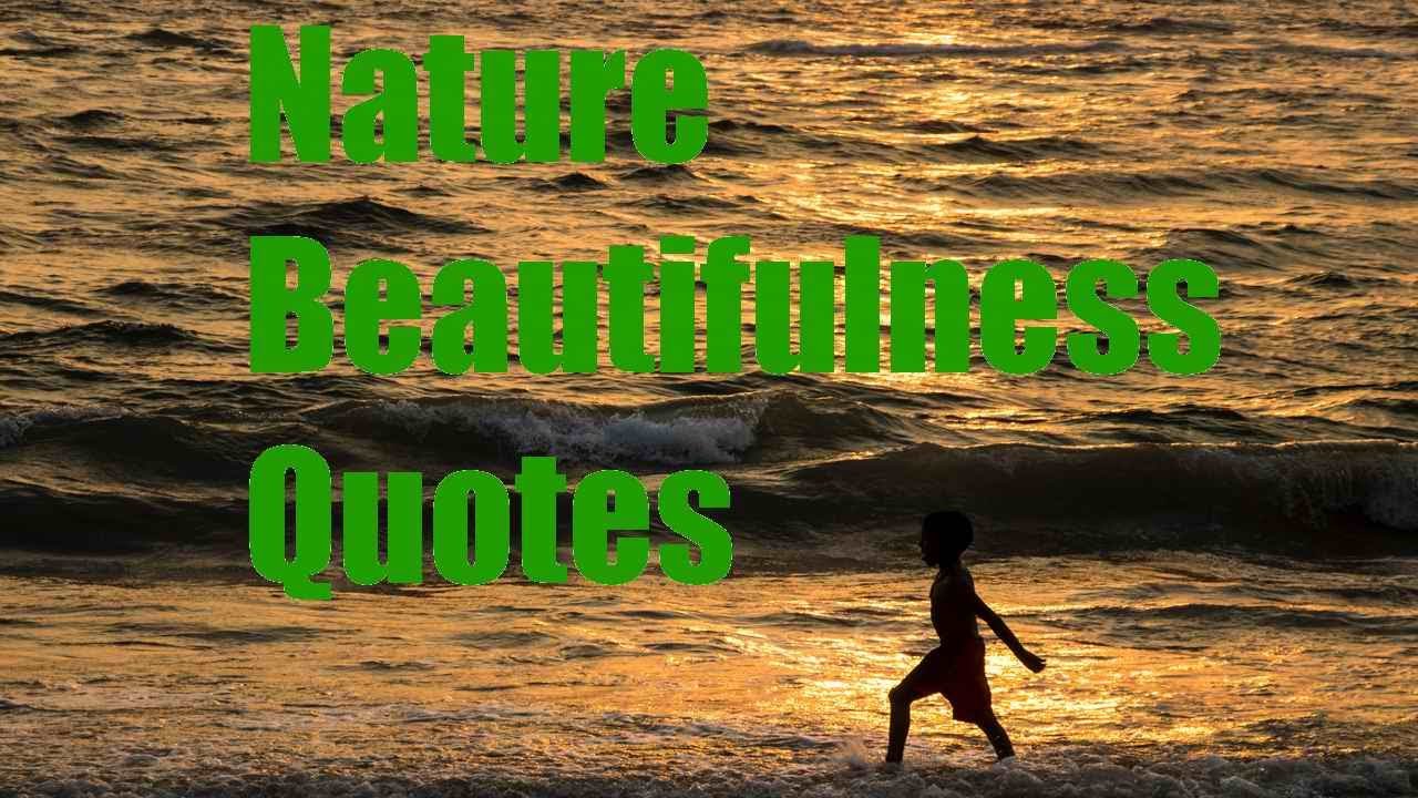 Nature Beautifulness Quotes - YouTube