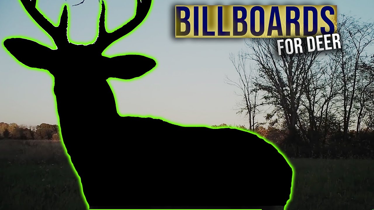 A New, Efficient Way to Make Mock Scrapes for Deer - YouTube