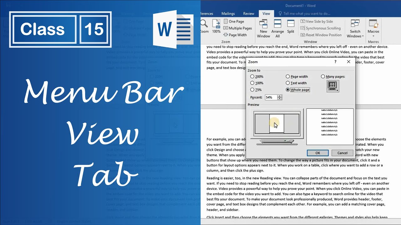 How to Adjust Your Screen and Document According to Your Need ...