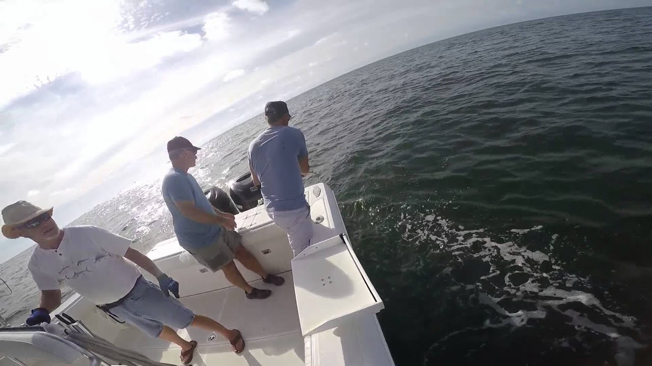 Jim's Shark Catch - YouTube