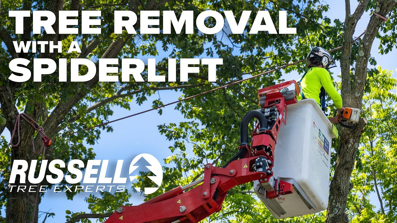 Tree Removal with a Spiderlift! - YouTube