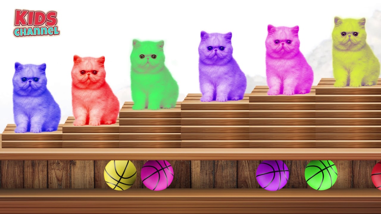 Learn Colors Basketball For Baby and Cat Fat - Video For Kids - YouTube