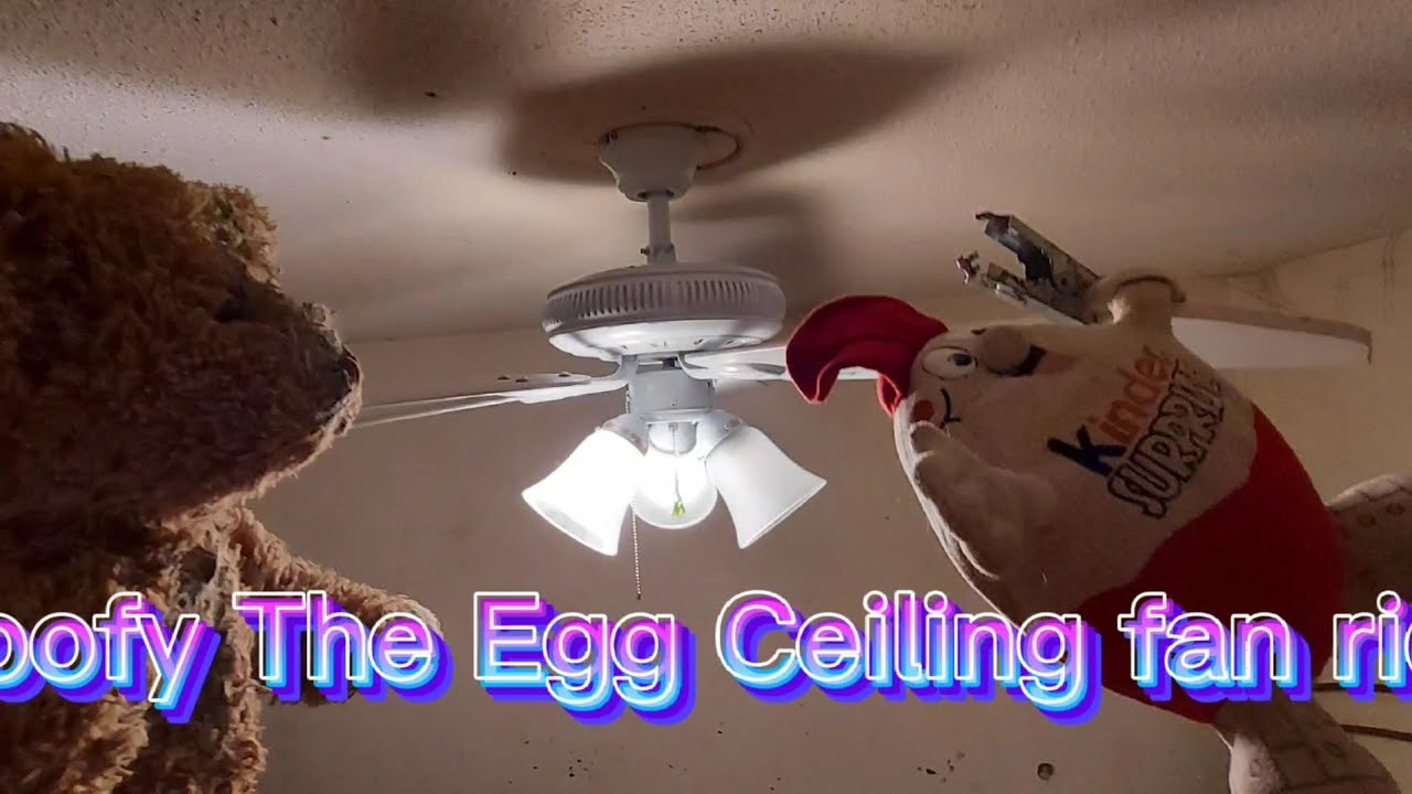 Doofy the egg Ceiling fan ride Part 2 - YouTube