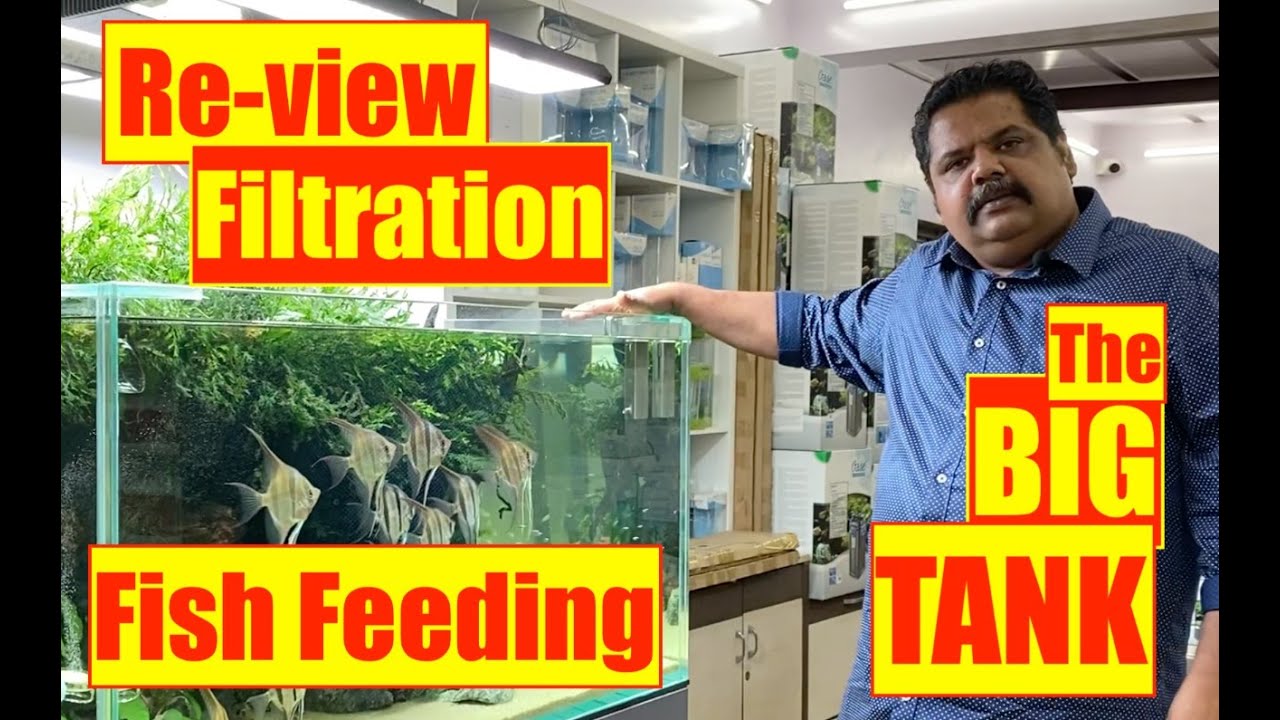 The Big Tank Review- 1000 litre Aquarium | Mayur dev Tips- Filtration ...