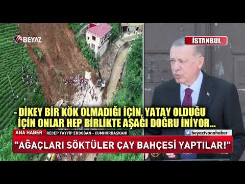 'Ağaçları söktüler, çay bahçesi yaptılar'