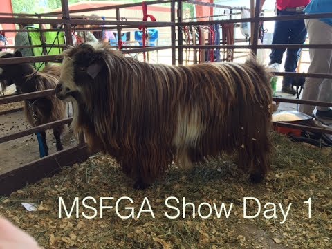 MSFGA UT Show: Day 1 - YouTube