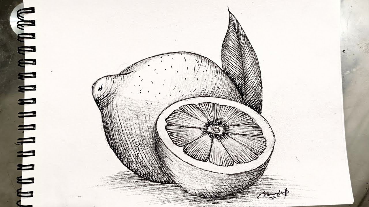 Lemon Pencil Drawing