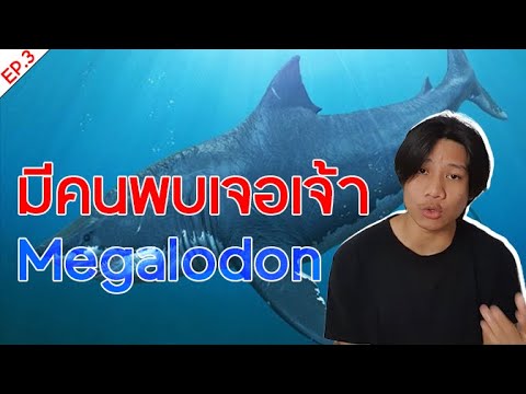 มีคนพับเจอเจ้า Megalodon EP.3 ⋮ ShiNaMon - YouTube