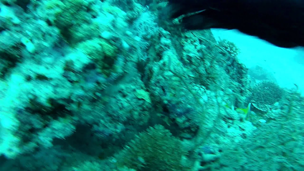Underwater hide and seek - YouTube