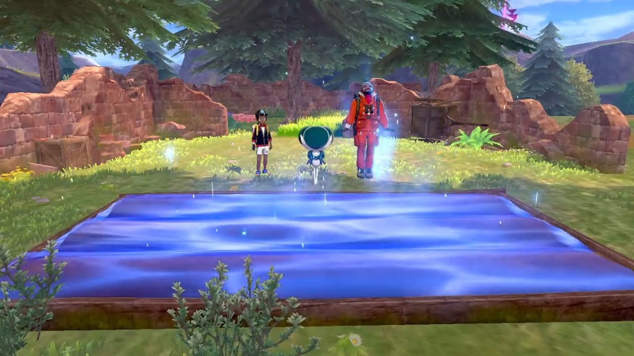 When you Harvest a carrot in Pokémon Sword & Shield - YouTube