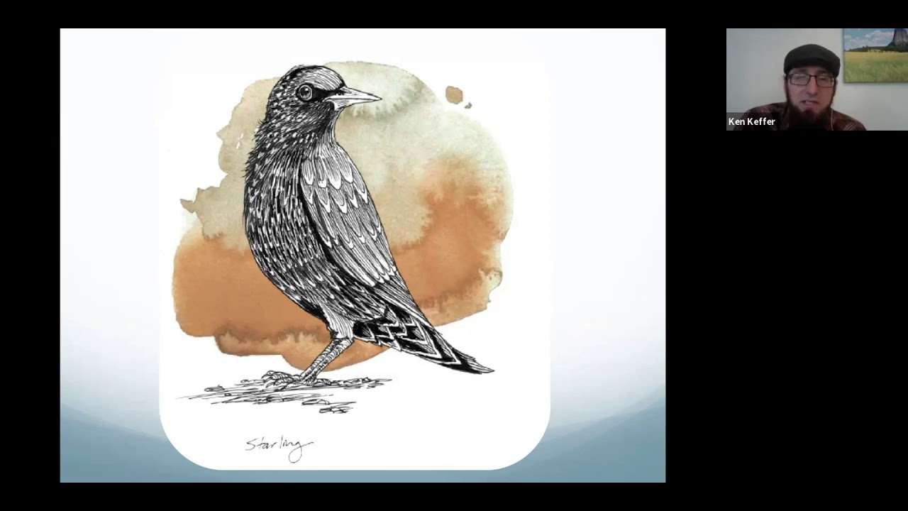 Earth Almanac: Nature's Calendar for Year round Discovery with Ken ...