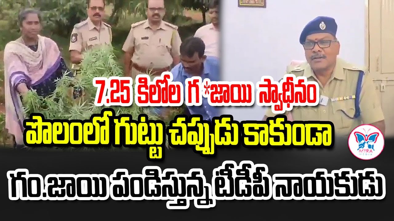 7.25 కిలోల గ*జాయి స్వాధీనం | TDP worker Caught Supplying Ganjayi | AP ...