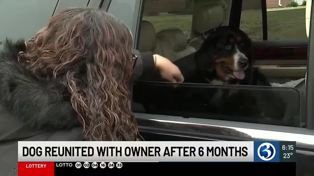 Dog reunited with owner after six months in Broad Brook - YouTube