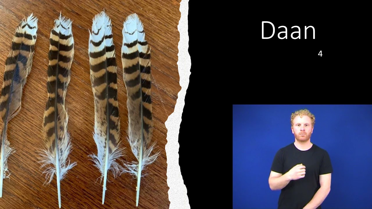 Counting zero to ten in Gumbaynggirr language by Michael Jarret "Uncle ...