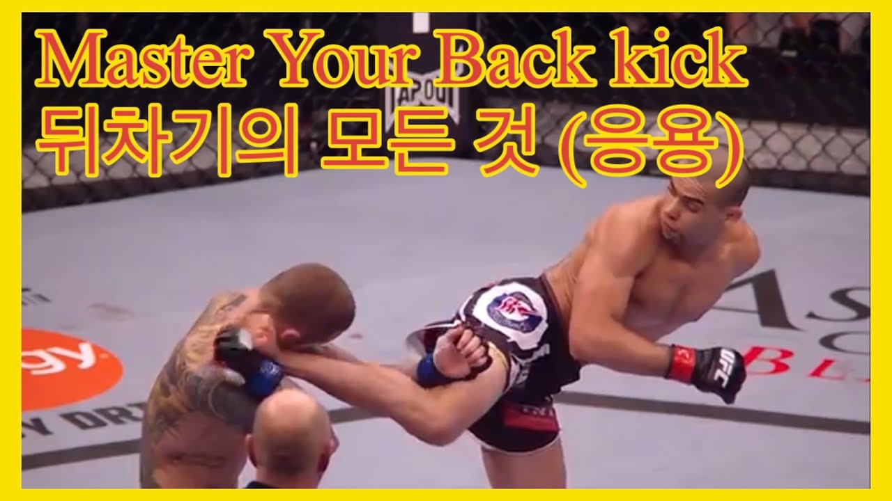 (ENG/KOR)격투가라면 꼭 봐야 할 영상 (뒤차기의 모든 것)/Must watch If you are MMA fighter ...