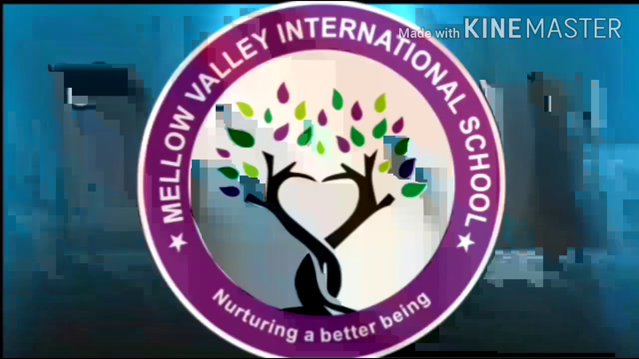 online Hindi video class, Mellow Valley International School - YouTube