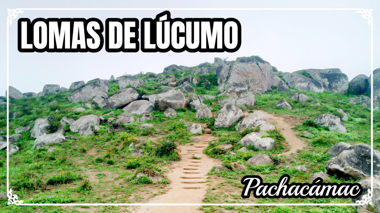 LOMAS DE LÚCUMO / PACHACÁMAC - YouTube