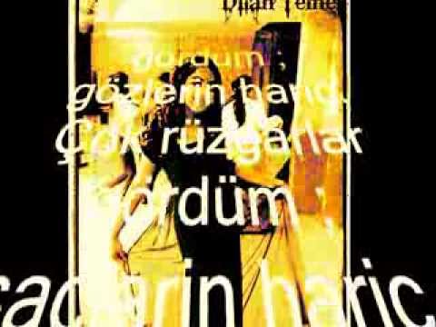 Seni Seviyorum DiLan
