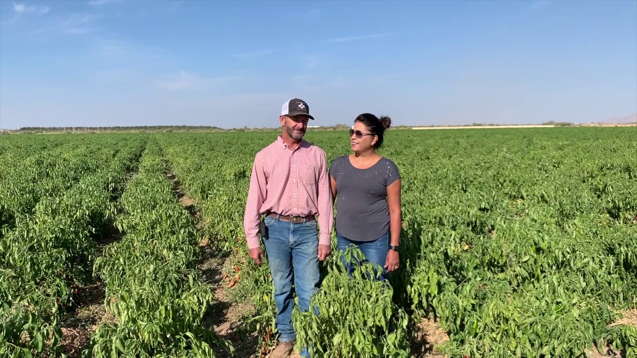 2020 All-Star Grower: Speir Farms - YouTube