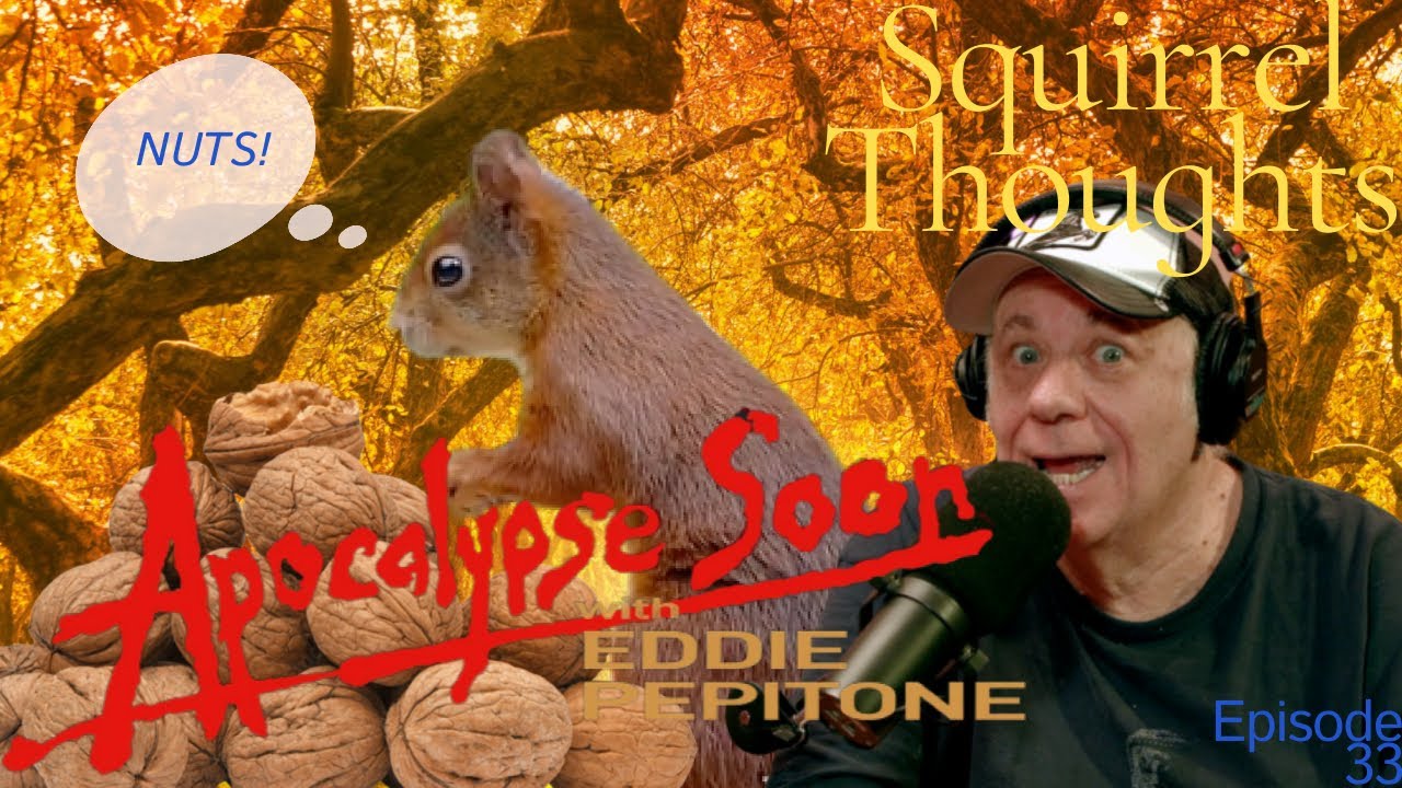 What is a Squirrel Thinking with Eddie Pepitone - YouTube