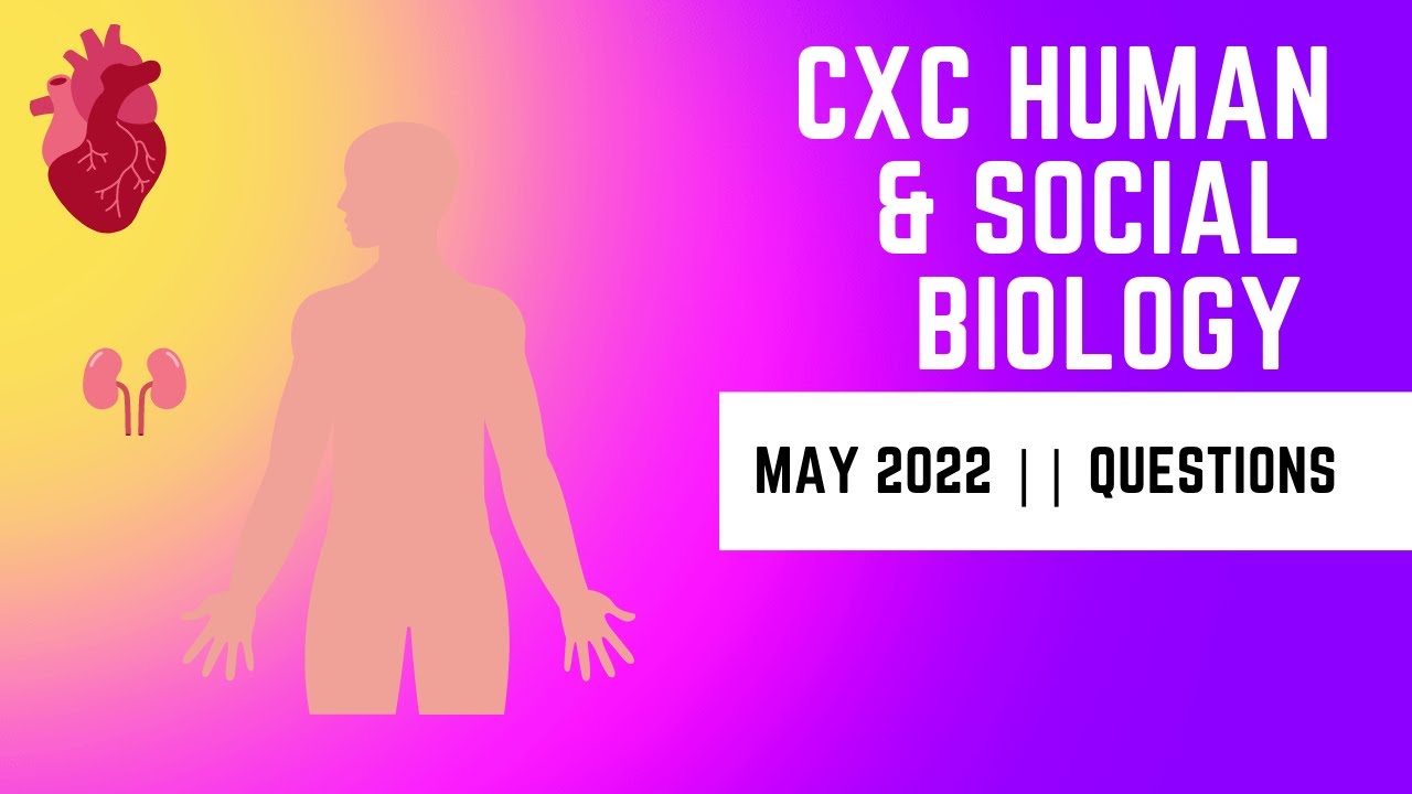 CXC Human And Social Biology May 2022 Paper 2 YouTube cxc-human-and-social-biology-may-2022-paper-2-youtube