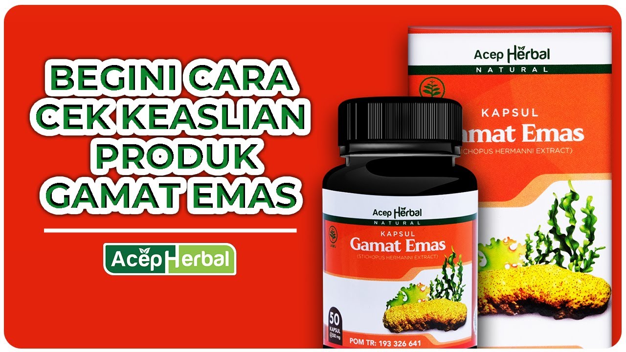 Begini Cara Cek Keaslian Produk Gamat Emas Kapsul ! - YouTube