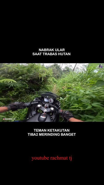 Trabas hutan angker #shorts - YouTube