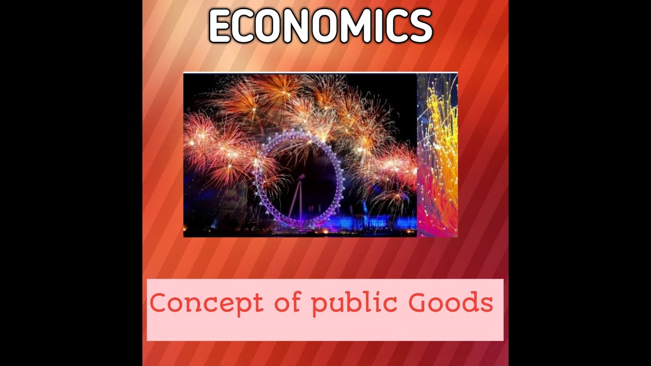 Economics | Public Goods | Part 1 - YouTube