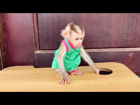 precious Bubu Sit So Saddd On Table Waiting Mom Prepare His Favorite ...