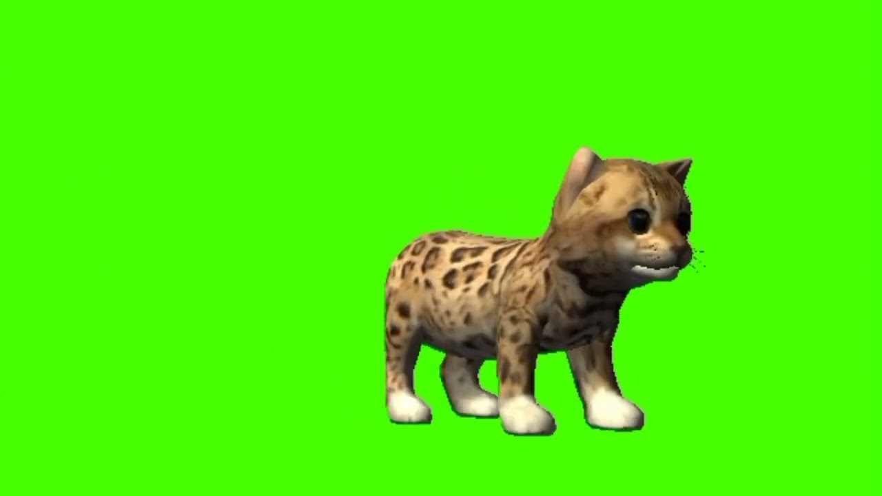 Green screen animation - YouTube