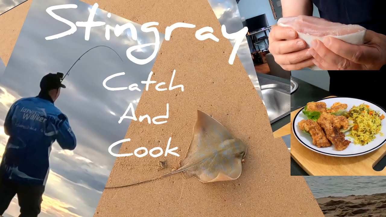 Stingray Catch & Cook. Surf Beach Fishing. ep160 - YouTube