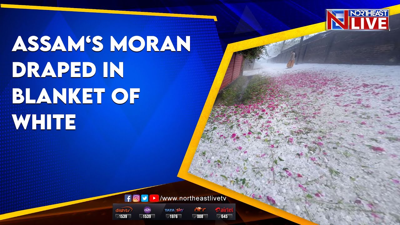 Assam‘s Moran draped in blanket of white - YouTube