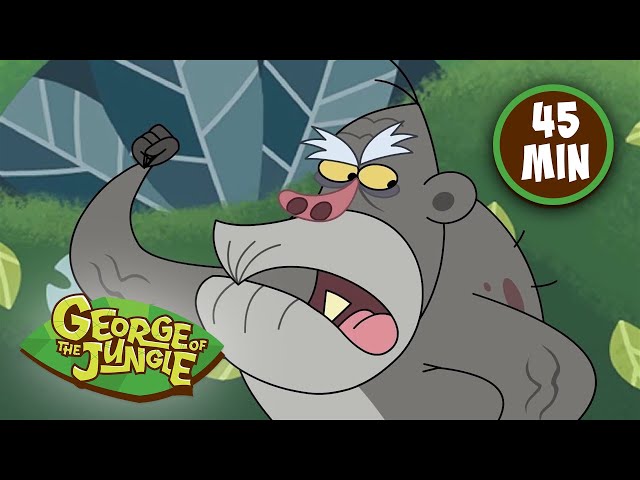 George Van De Jungle Gorilla Cartoon George Of The Jungle Where To