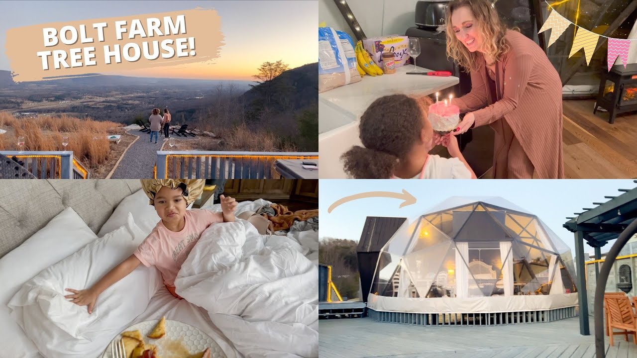 TENNESSEE PART 2 - Bolt Farm Tree House! - YouTube