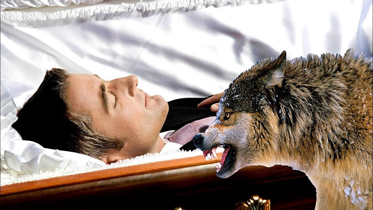 At the funeral, the wolf clung to the throat of the deceased. The ...